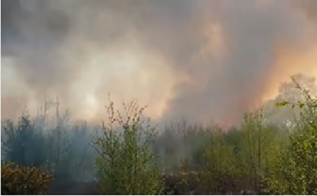 Hammersmith and Fulham Fire Crews Help Tackle Putney Heath Blaze